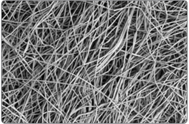 Chitogen – Next Generation Hemostatic Products